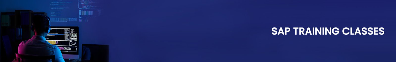 Angstrom - Best SAP Training and Development | Internship